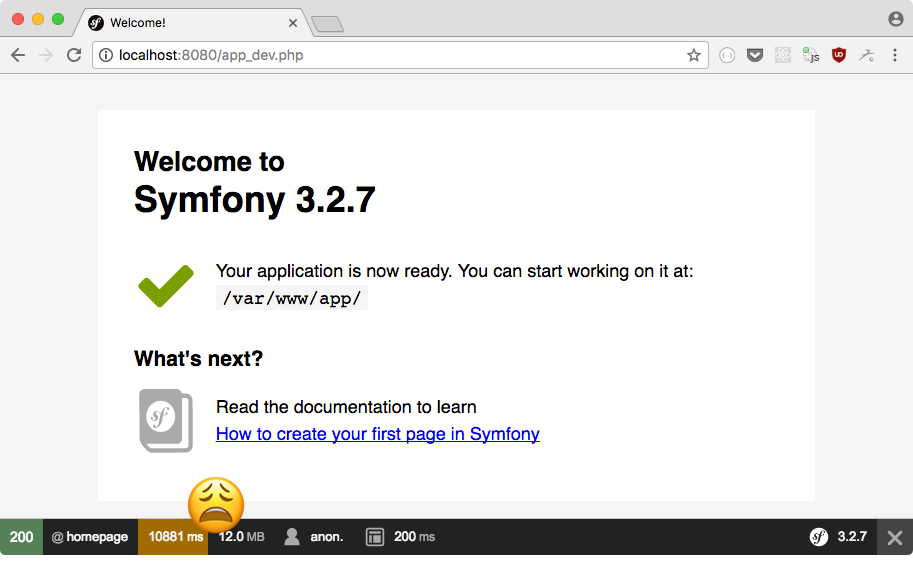 Поднимаем Symfony в Docker контейнере The Web Land